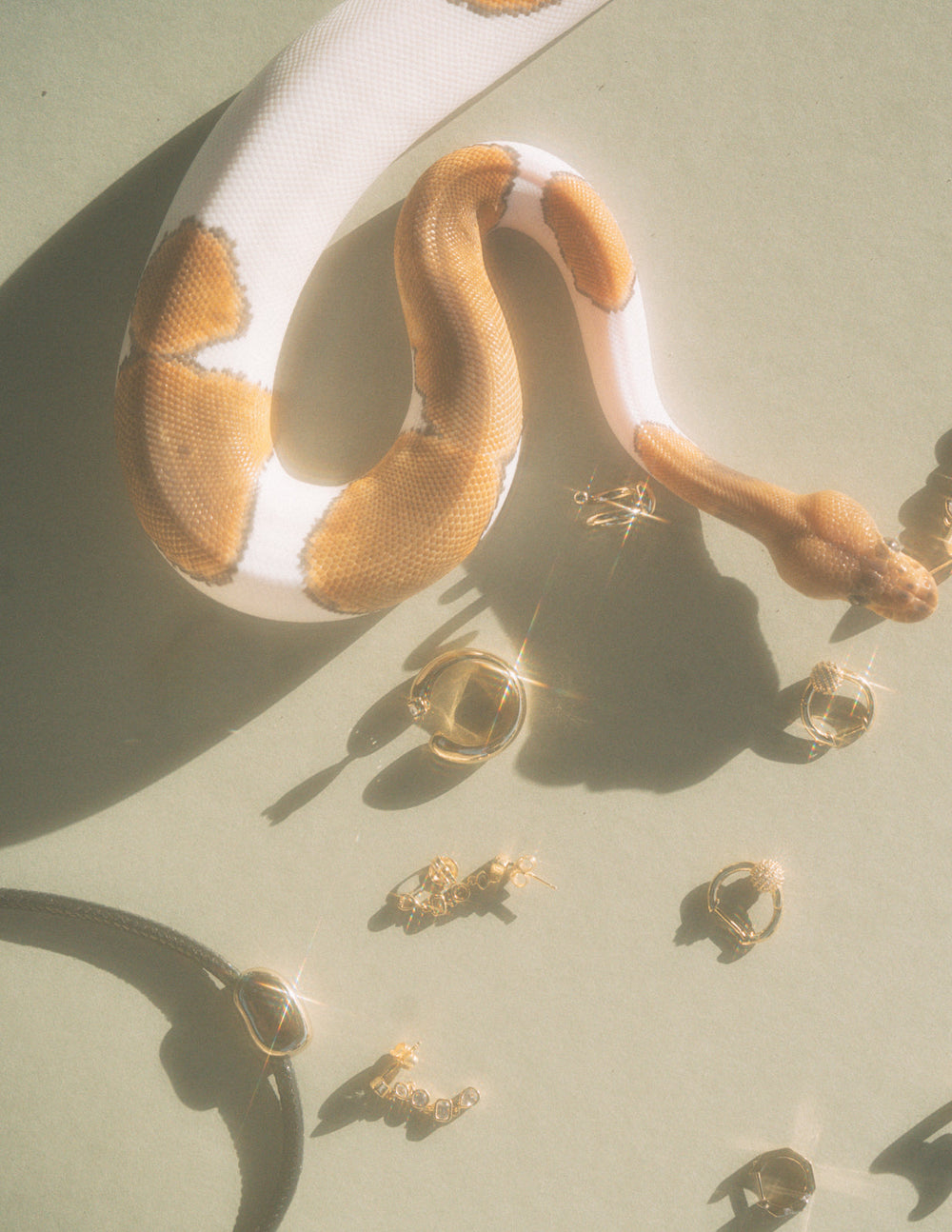 A Year With NAiiA: Looking Back on What We Built in 2025